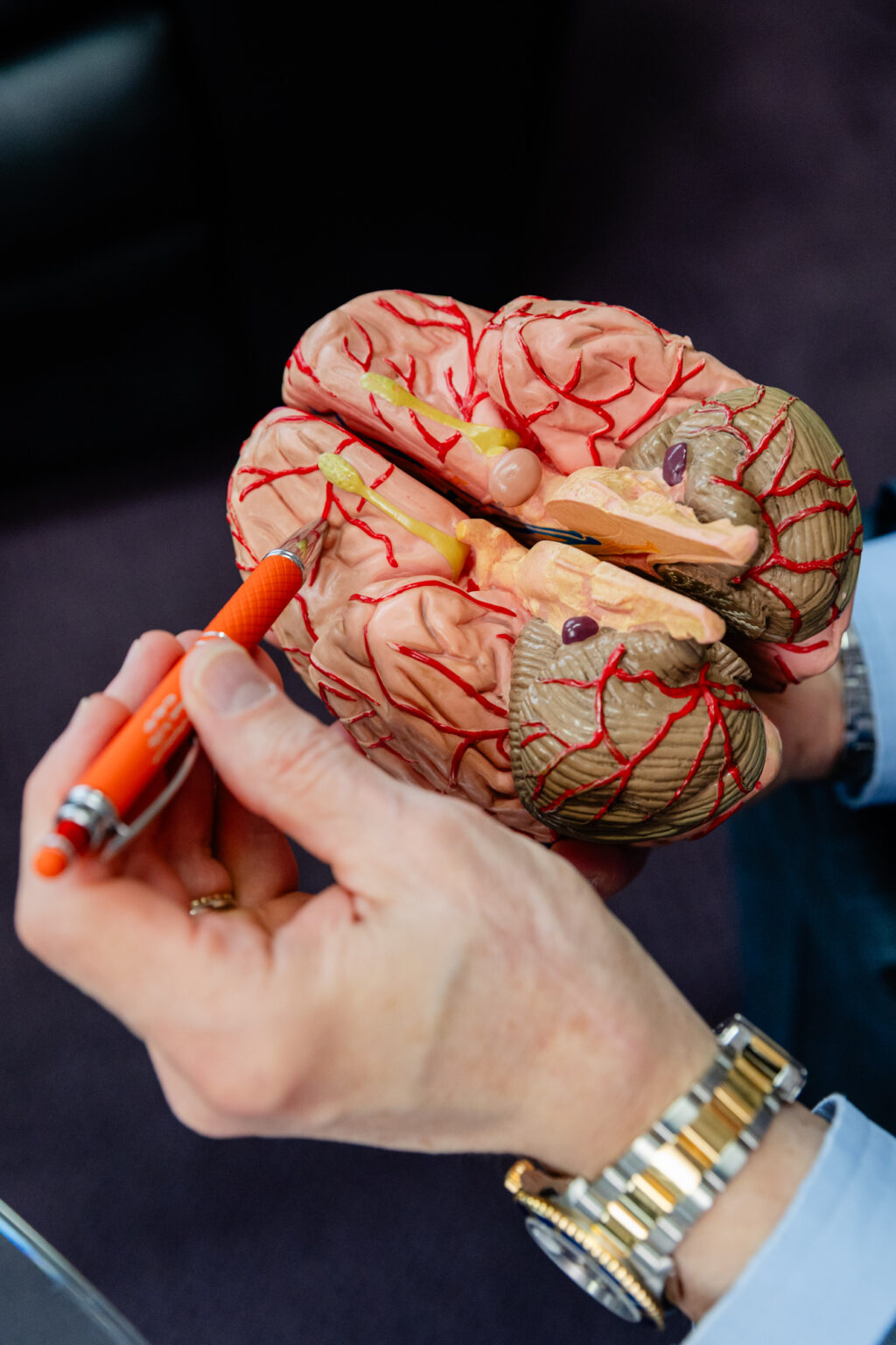 Functional Medicine Doctor in Newburgh | Cady Wellness